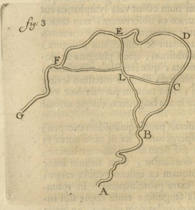 Letter 40 of December 28, 1683 Figure 6 | Arcana Naturae Detecta | Lens ...